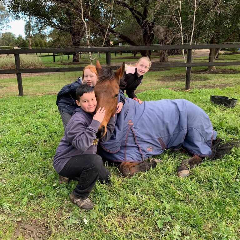 Racehorse Retraining and Rehabilitation Process - Racing Hearts