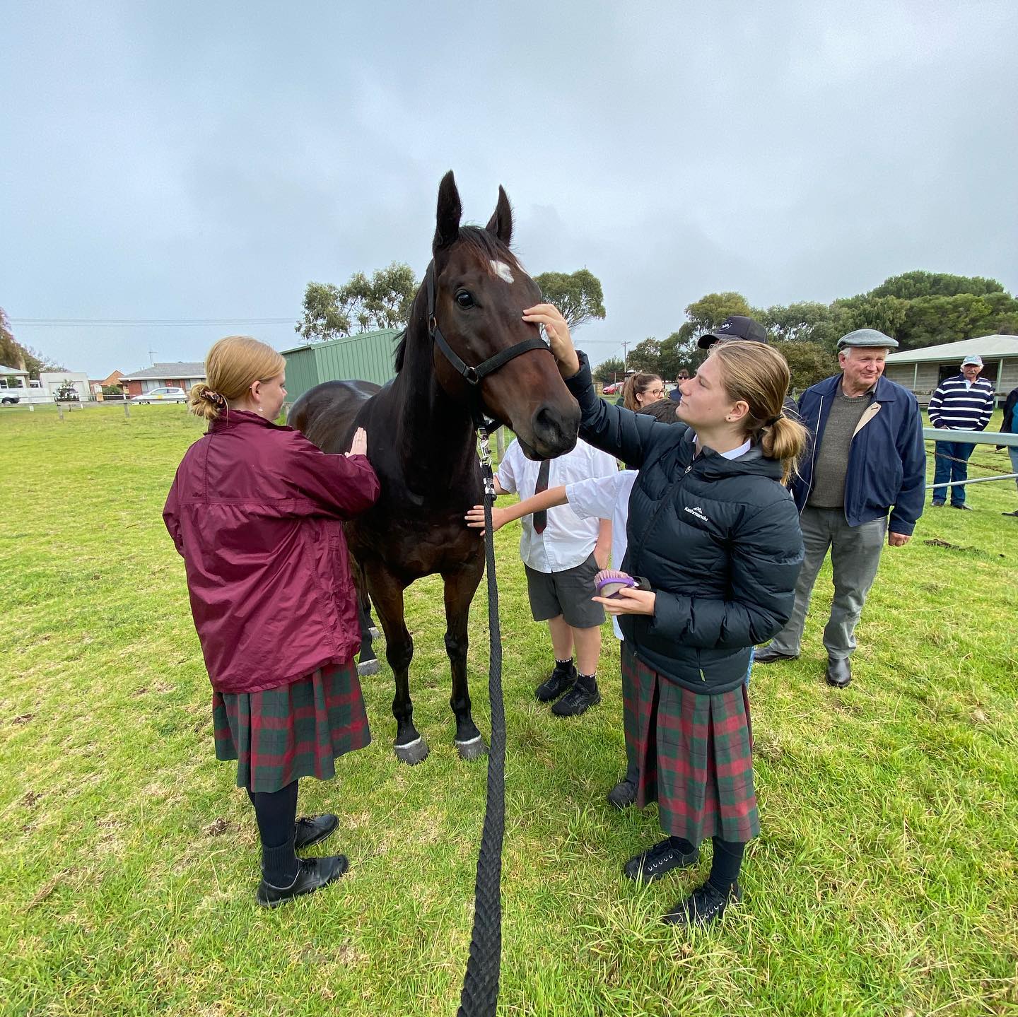 Horse Of The Year - Racing Hearts