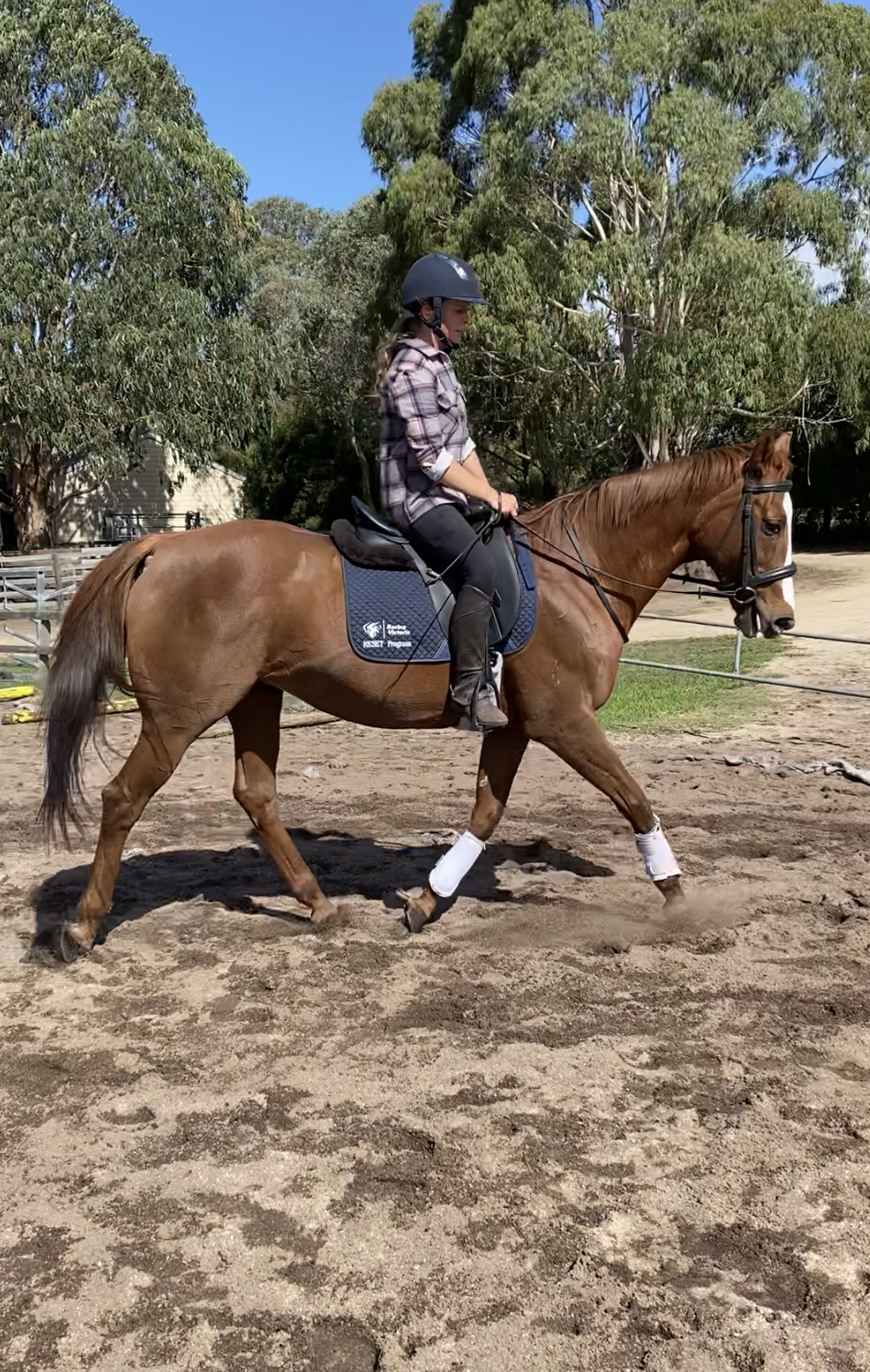 Practitioners - Racing Hearts