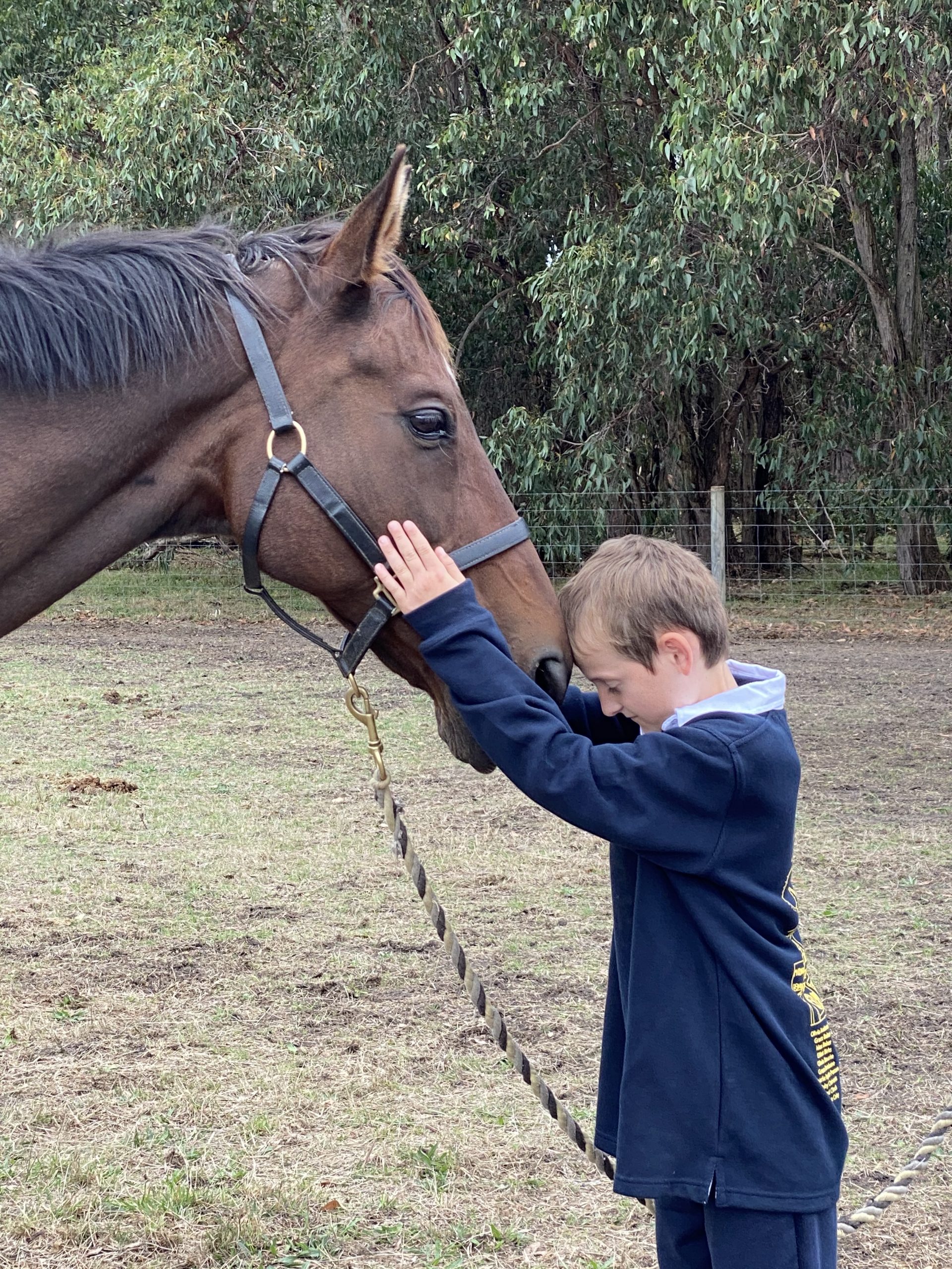 Equine And Art Assisted Autism Camp Racing Hearts