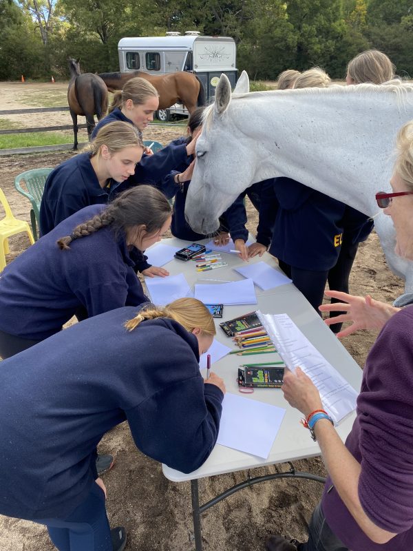 School Programs - Racing Hearts